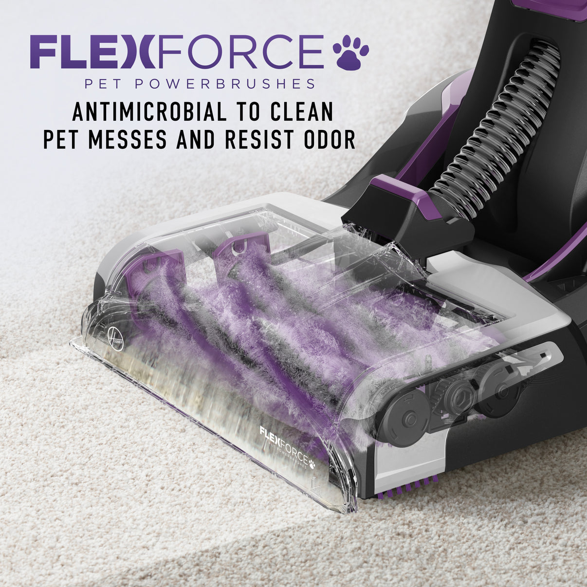 Hoover® SmartWash™ PET Complete + Automatic Carpet Cleaner – Hoover Canada